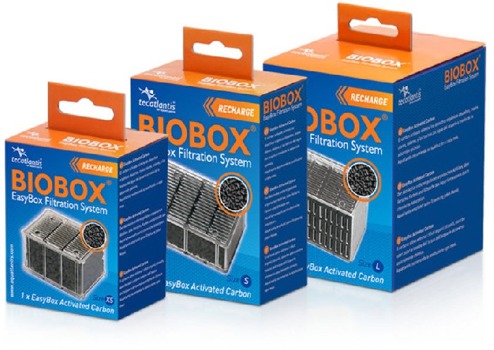 EASY BOX ACTIEVE HOUTSKOOL L :: J&B aquariums